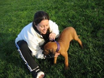 Nikki Fritz passed away – B-Movie Films